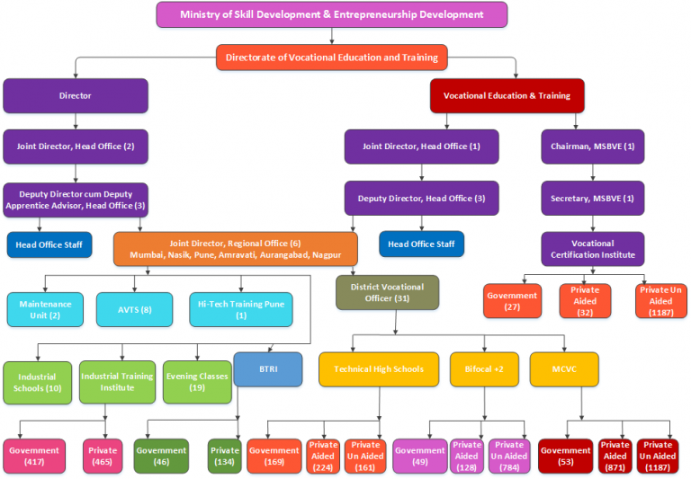 Organization Chart - DVET